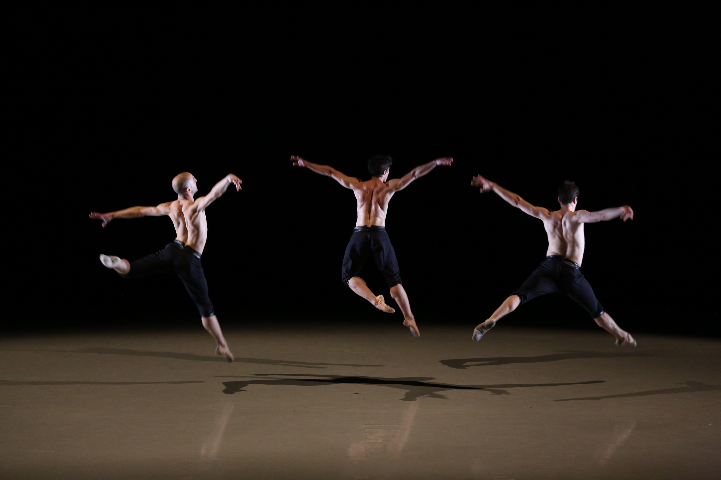 Concours de Jeunes Chorégraphes - Chroniques de Danse